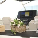 Premium Private Cruise from Castellabate: Cilento Coast - Who Would Appreciate This Tour?