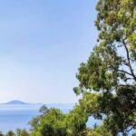 Premium private trip to Gibraltar from Seville (multiple options) - Who Will Love This Experience?