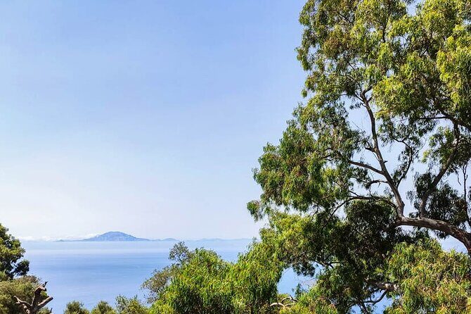 Premium private trip to Gibraltar from Seville (multiple options) - Who Will Love This Experience?