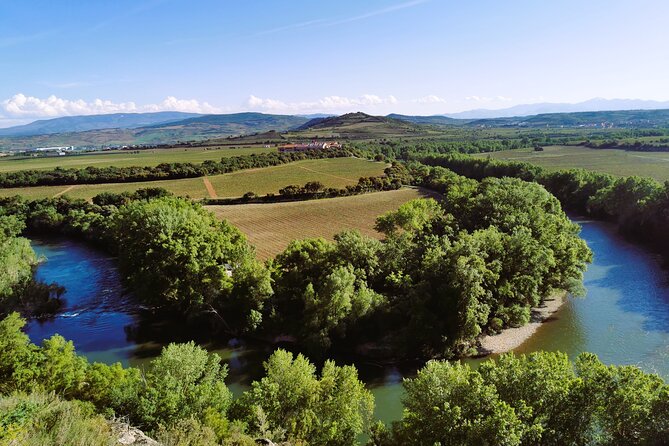 Premium Ribera del Duero tour with winemaker-guide - Key Points