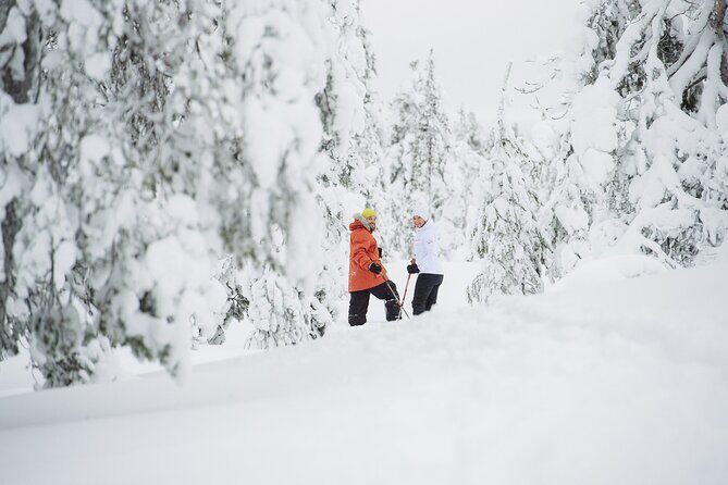 Premium Snowshoeing in Pyhä-Luosto National Park - The Guides and Their Knowledge