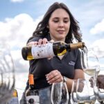 Premium Tasting | Quinta de Santa Cristina Vinho Verde - Frequently Asked Questions