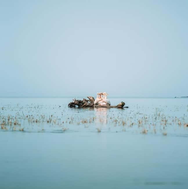 PREMIUM TOUR SMALL GROUP Bucharest-The Heart of Danube Delta - Who Will Enjoy This Tour?