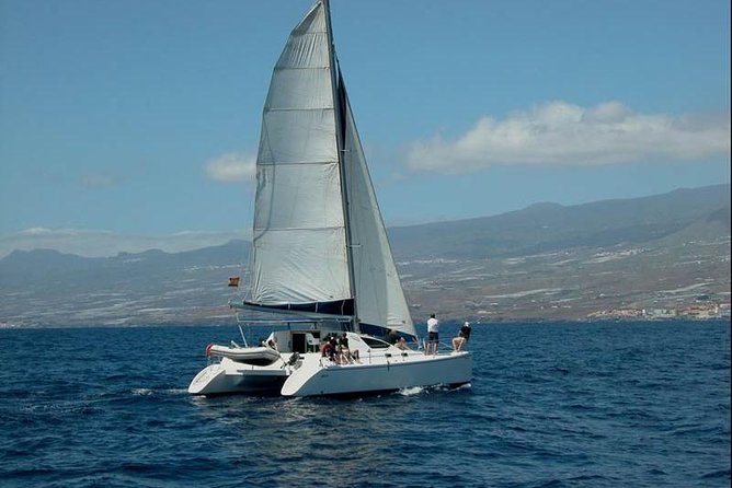 Prestigious cruiser private charter - Key Points