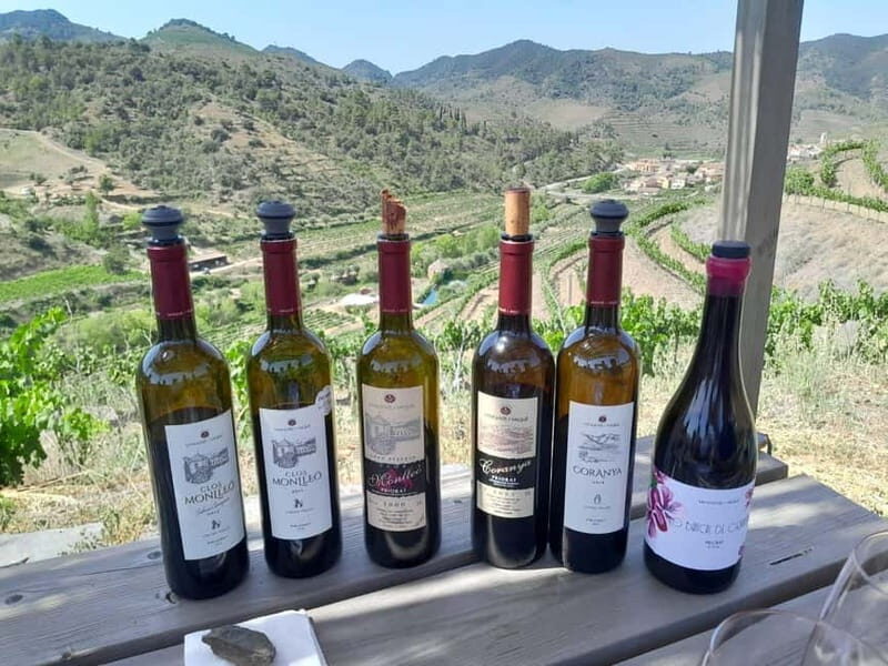 Priorat tour to 3 small wineries and hotel pick-up - The Itinerary in Detail: What You’ll Experience