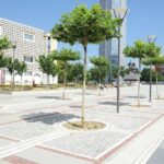 Pristina Half-day Walking Tour - The Sum Up: Why Choose This Tour?