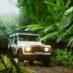 Priv. East: 4x4 Tour|Pico do Areeiro|Santana Typical Houses| - What’s Included & What to Consider
