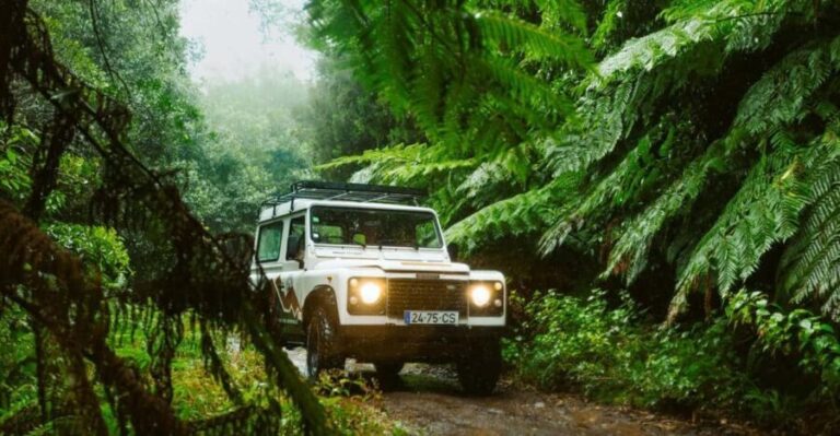 Priv. East: 4x4 Tour|Pico do Areeiro|Santana Typical Houses| - What’s Included & What to Consider