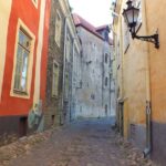 Private 2.5-Hour Tour of Tallinn Old Town in a Spacious Mercedes Minivan - Comfort, Convenience, and Value