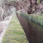 Private - 25 Fontes and Risco Waterfall Guided Tour - Experience Quality and Practicalities