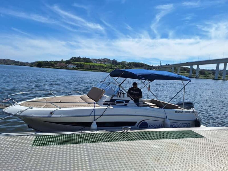 Private 6 Bridges Cruise in Porto with Optional Sunset - A Detailed Walkthrough of the Itinerary