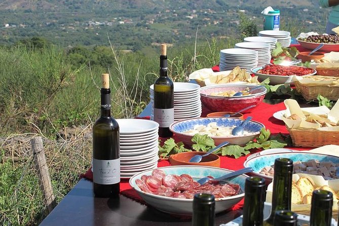 Private 8-Hour Tour of Four Etna Wineries with Tasting - Introduction