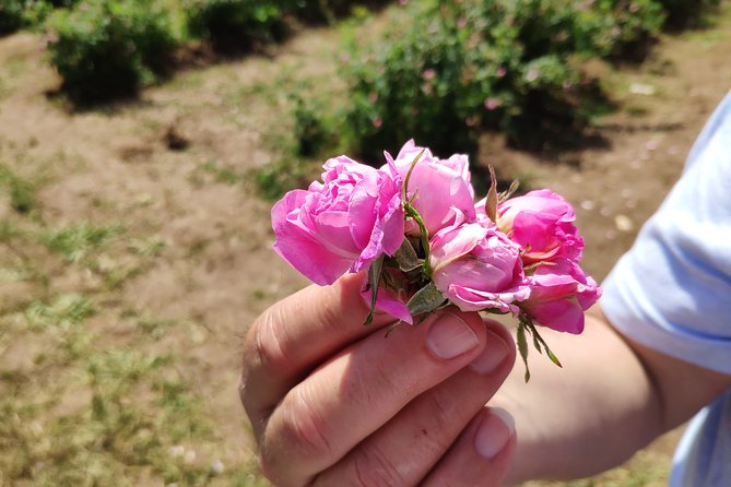 Private Access Rose Festival Kazanlak 06-08.06.2025 - Introduction: Why Consider the Private Access Rose Festival Tour?