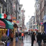 Private Amsterdam Walking Tour - An In-Depth Look at the Amsterdam Private Walking Tour