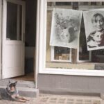 Private Analogue Photography Experience in Berlin - A Closer Look at the Experience