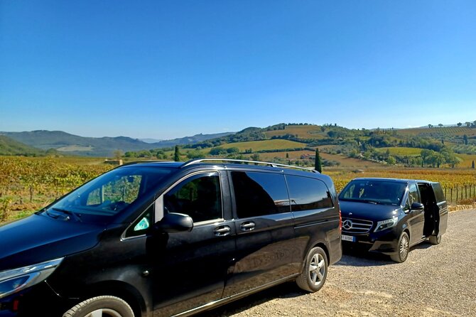 Private and Guided Day Visit to Beautiful Tuscany from Rome - Key Points