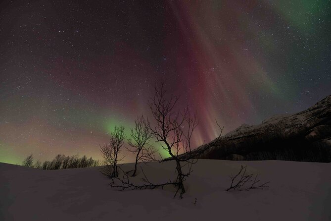 Private Aurora Hunting with Professional Photographer from Alta - Setting Off from Alta: What to Expect