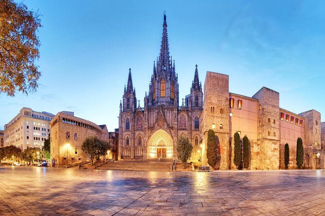Private Barcelona Walking Tour & Wine Tasting + Tapas Dinner - Culinary Delights at a Chef-Owned Tapas Restaurant