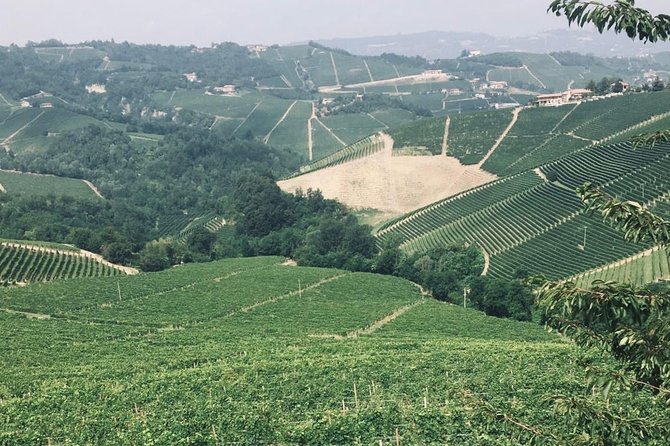 Private Barolo Wine Tour with Winemaker from Turin - The Itinerary in Detail