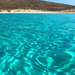 Private Boat Delos and Rineia Cruise Tour - The 7-Hour Itinerary: What to Expect