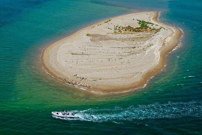 Private Boat Sightseeing Tour along The North Norfolk Coast - Why This Tour is Worth Considering