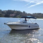 Private Boat Tour in Porto with Portuguese Tapas Option - The Experience from Reviews