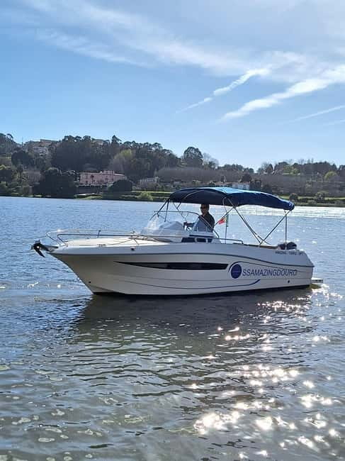 Private Boat Tour in Porto with Portuguese Tapas Option - The Experience from Reviews