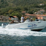 Private boat tour Kotor to Porto Montenegro - Portonovi - What To Expect During the Tour