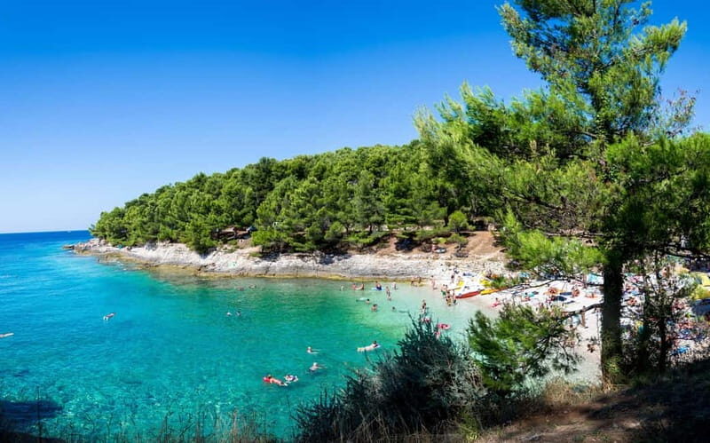 Private Boat Tour N.P. Brijuni & Blue Cave & islands - Why This Tour Offers Great Value