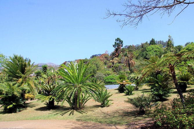 Private Botanical Garden Tour - Why Choose a Private Tuk-Tuk Tour?