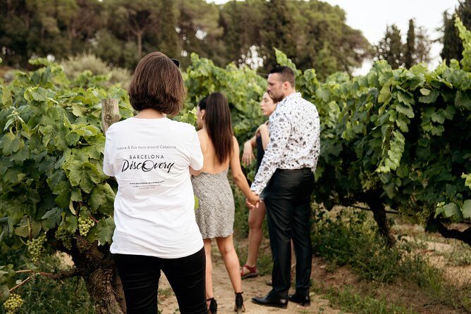 Private Breakfast Winery Experience - Private Wine Tasting Tour - What Makes This Experience Stand Out?