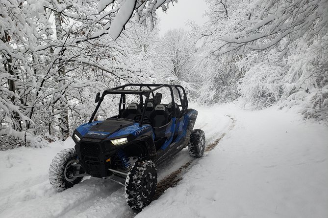 Private Buggy Experience All Seasons in Pamporovo - Key Points