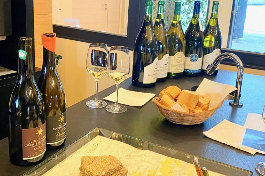 Private Burgundy 4 Domains 20 Chablis Wines Caves from Paris - Early Morning Pick-up & Itinerary Pacing