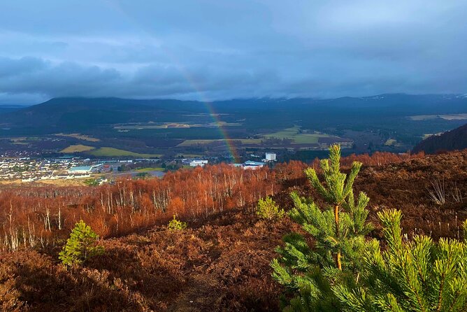 Private Cairngorm National Park tour - Key Points