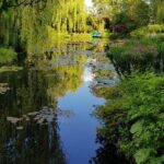 Private Car Trip to Giverny Garden from Paris - The Overall Experience