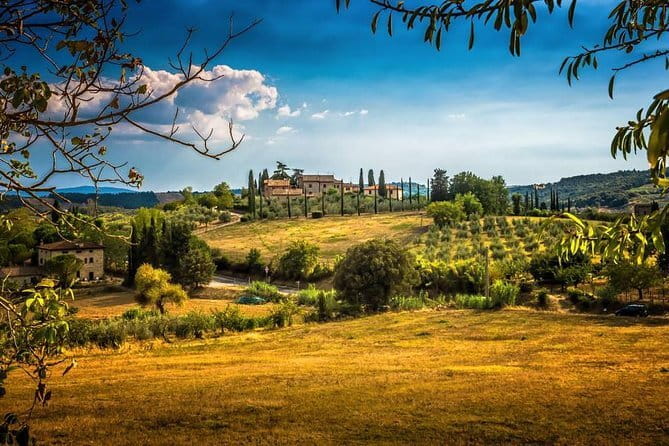 Private Carmignano Tour: The First Cabernet Sauvignon in Tuscany - Introduction