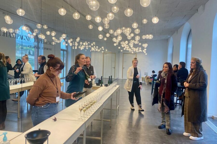 Private Champagne Moet Chandon, Pommery, Pressoria Day trip - What You Can Expect: A Day Filled with Champagne and Culture