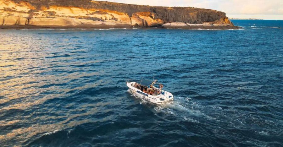 Private Charter Private Charter to see the whales - 2 Hours - The Experience in Detail: What You Can Expect from This 2-Hour Private Tour