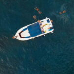 Private Charter Private Charter to see the whales - 3 Hours - Is This Tour Worth the Cost?
