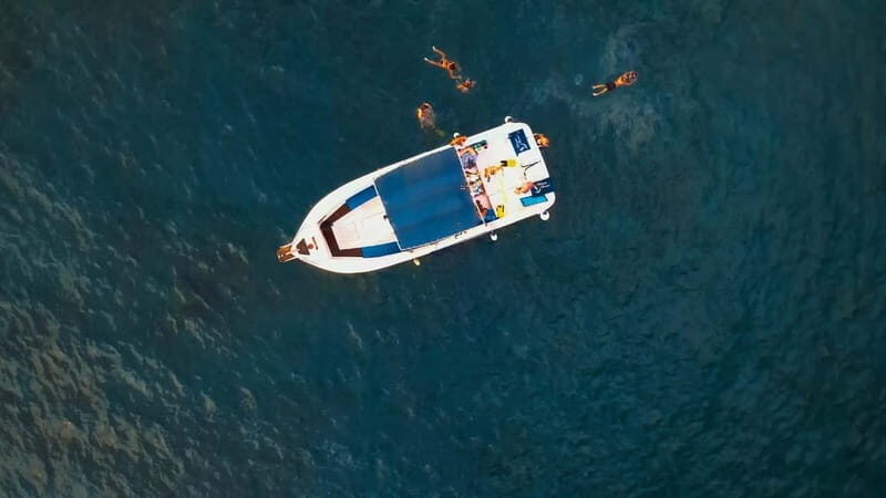 Private Charter Private Charter to see the whales - 3 Hours - Is This Tour Worth the Cost?