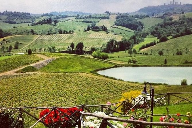 Private Chianti Classico Tour with wine and food tasting in a Historic Estate - Who Will Love This Tour?
