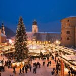 Private Christmas Time Tour from Vienna to Hallstatt and Salzburg Market - Who Will Love This Tour?