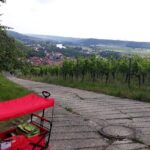 Private city rally in Würzburg including wine tasting - Sights and Hidden Gems