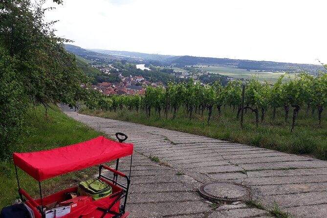 Private city rally in Würzburg including wine tasting - Sights and Hidden Gems