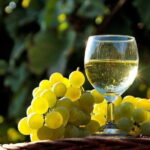 Private Classic Wine Tour in Chianti from Florence - Transportation and Timing