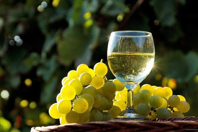 Private Classic Wine Tour in Chianti from Florence - Transportation and Timing