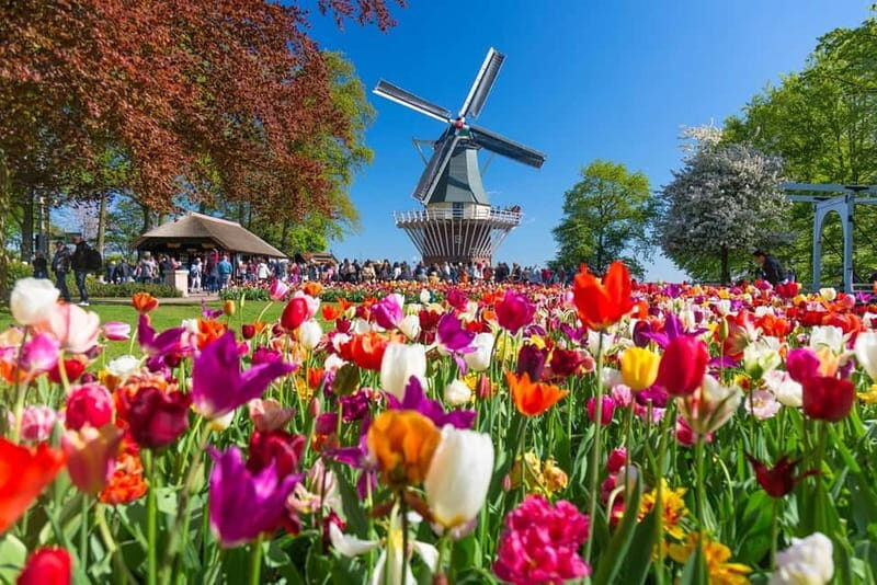 Private CUS Tour: Kinderdijk/ Rotterdam/Hagueenglish// - A Deep Dive into the Tour Experience