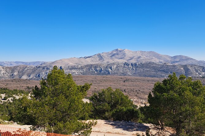 Private Customizable Tour of Croatia Via Minivan with a Guide - Exploring the Private Customizable Tour of Croatia by Minivan