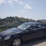 Private day tour to Pompei ,winery, Sorrento from Napoli/Salerno/Amalfi/Positano - The Winery Experience at Mount Vesuvius