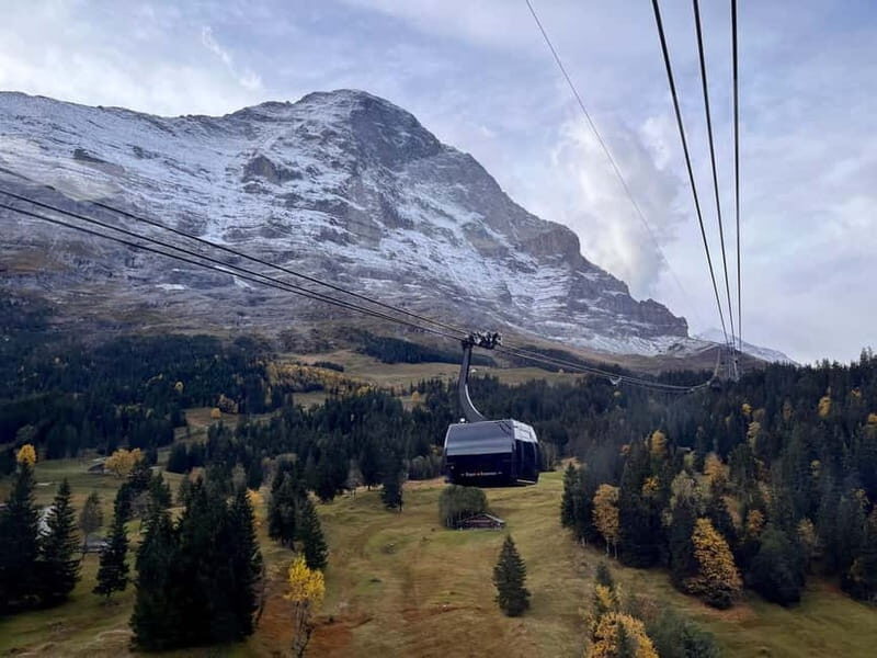 Private Day Tour to "Top of Europe", incl Swiss Picknick - The Value and Pricing